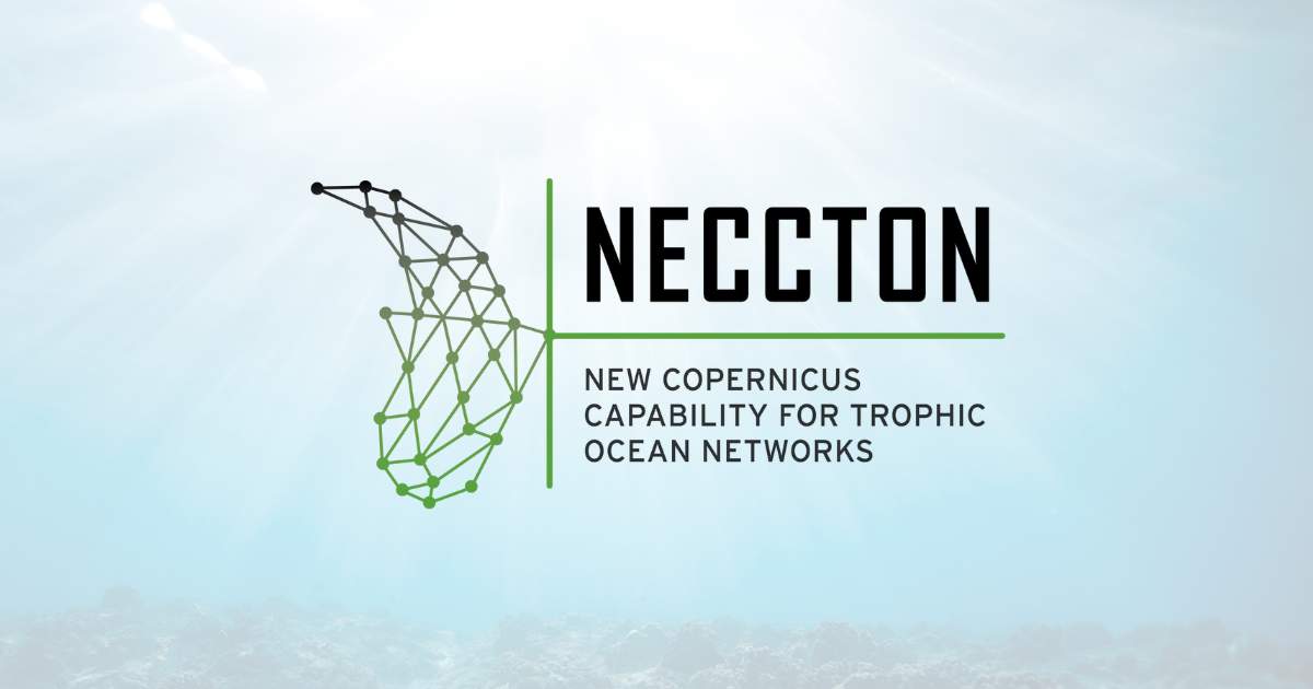 NECCTON - New Copernicus Capability for Trophic Ocean Networks